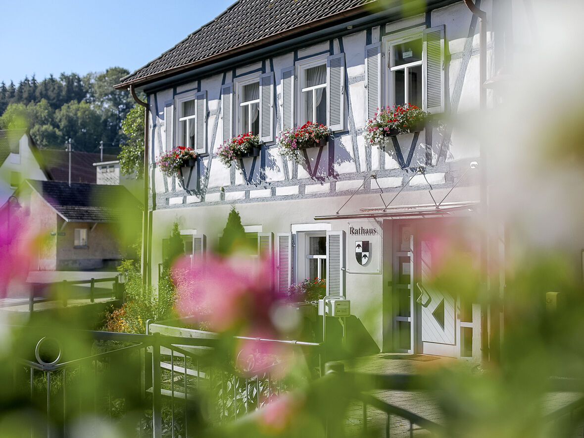 Gemeinde Bisingen: Aktuelles