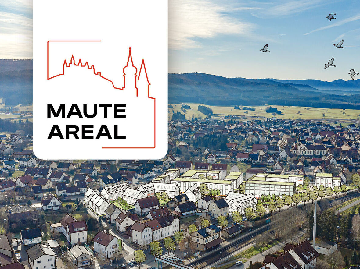 Gemeinde Bisingen: Startseite