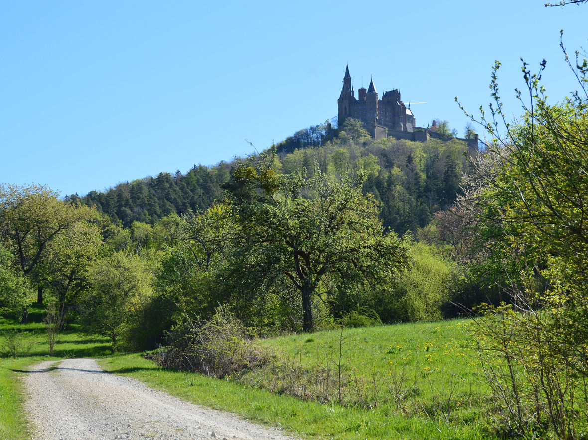 Gemeinde Bisingen: Wandern