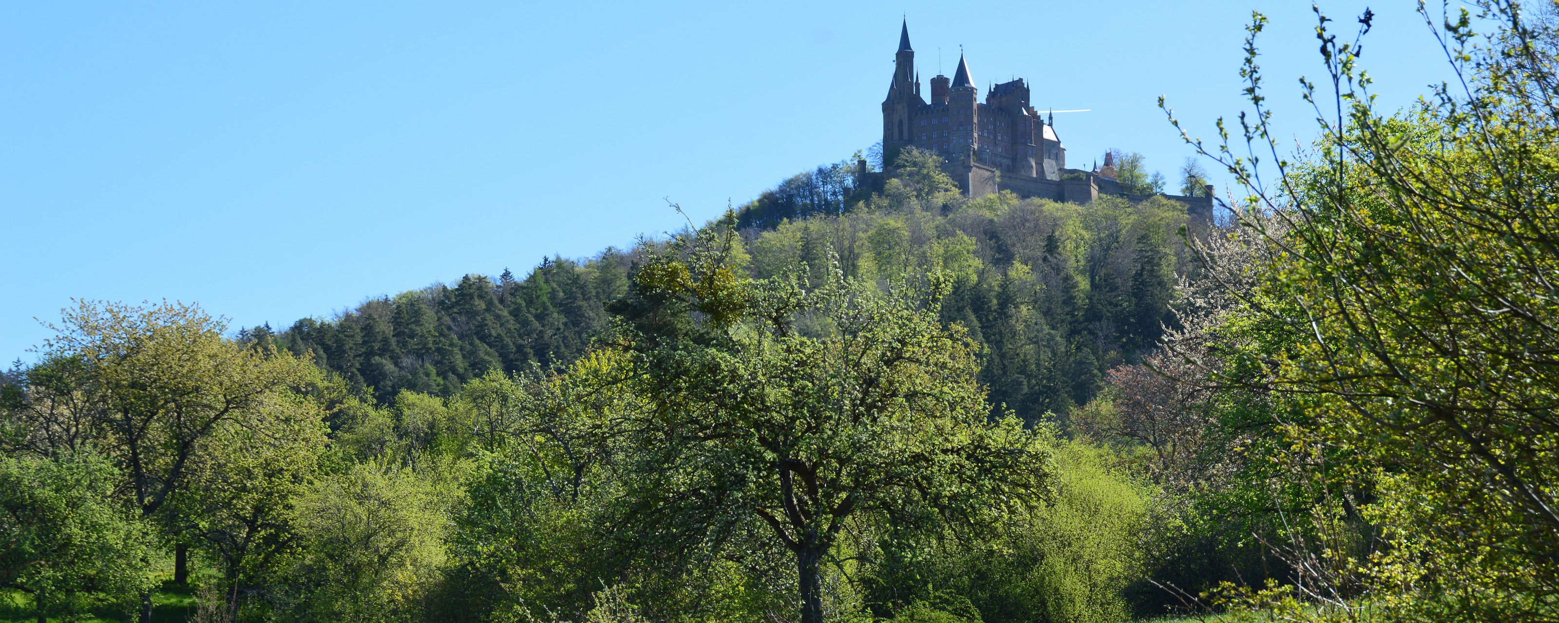 Gemeinde Bisingen: Rund um die Burg Gemeinde Bisingen: Rund um die Burg